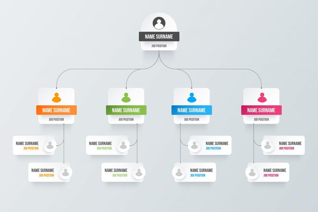 Organizational Chart Types and How To Use Them