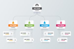 Organizational Chart Types and How To Use Them